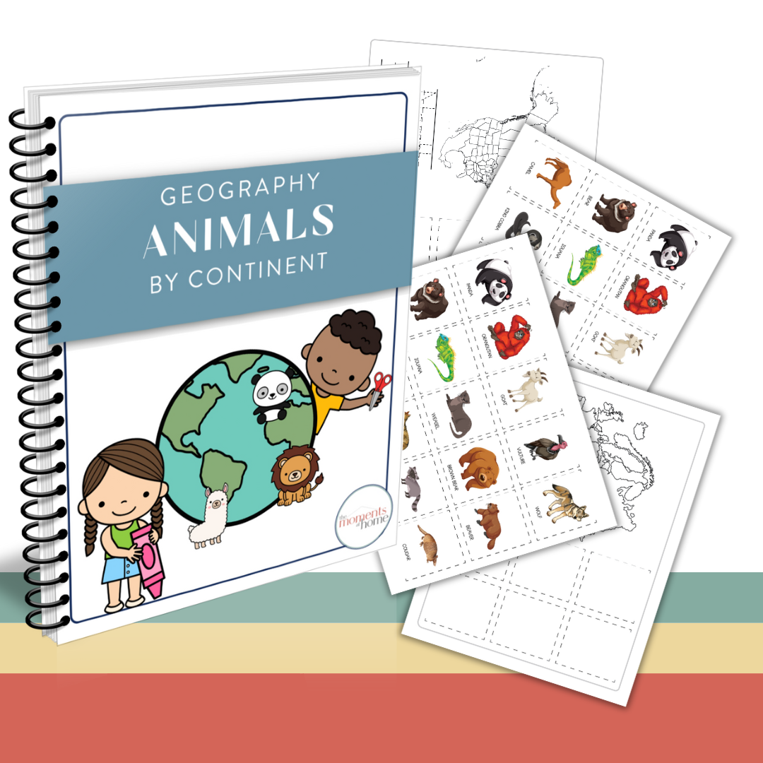 Animals Around The World: Explore The Continents – The Moments At Home