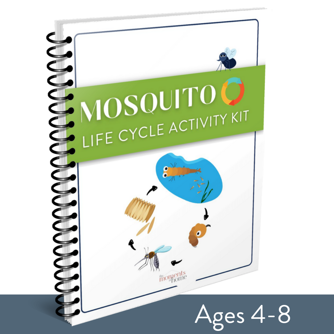 Mosquito Life Cycle Activity Kit – The Moments At Home