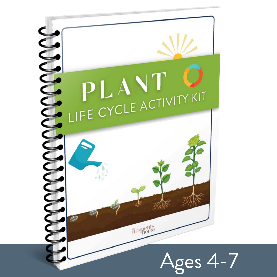 Plant Life Cycle Activity Kit – The Moments At Home