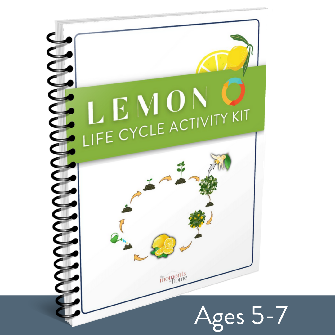 Lemon Life Cycle Activity Kit – The Moments At Home