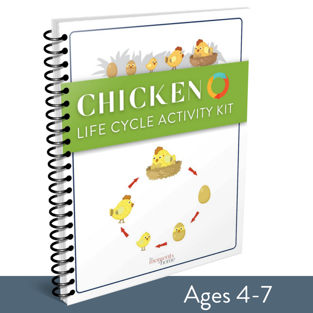 Chicken Life Cycle Activity Kit – The Moments At Home