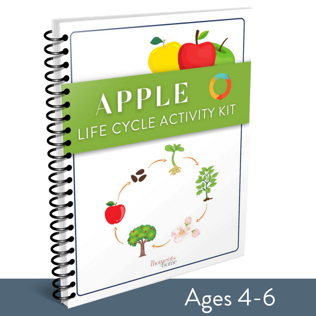 Apple Life Cycle Activity Kit – The Moments At Home