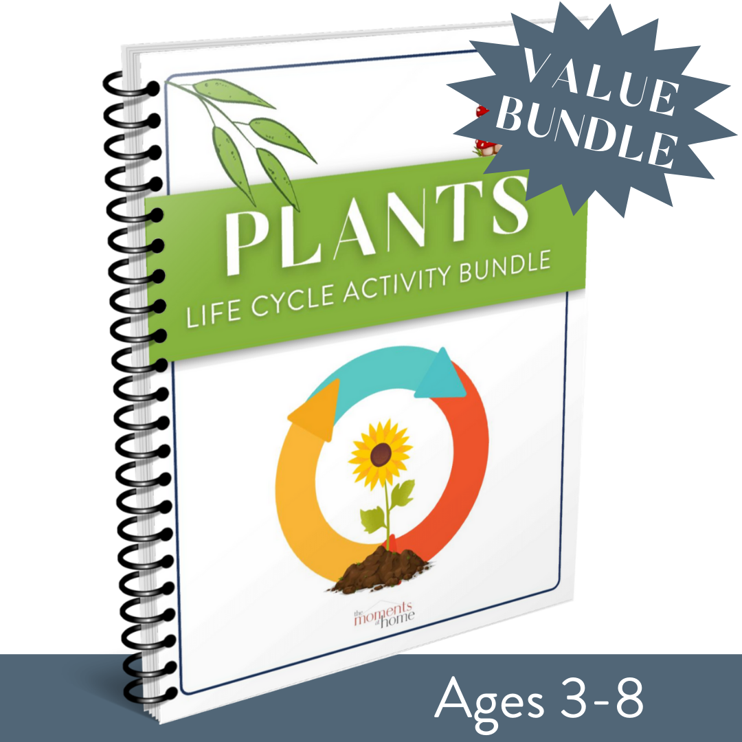 Plants Life Cycle Activity Bundle – The Moments At Home