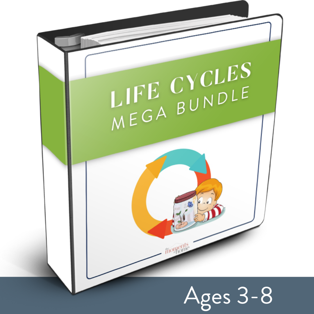Life Cycles Mega Bundle – The Moments At Home