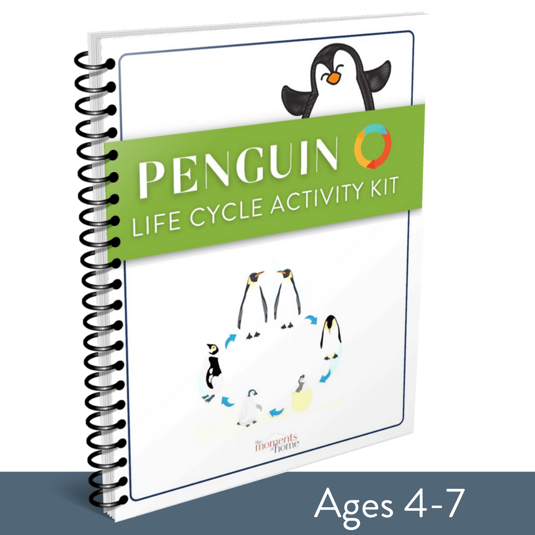 Penguin Life Cycle Activity Kit – The Moments At Home
