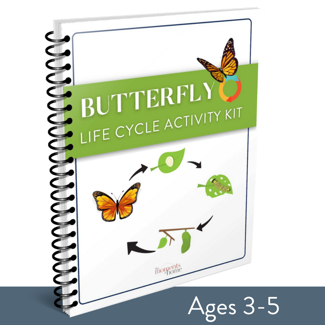 Butterfly Life Cycle Activity Kit – The Moments At Home