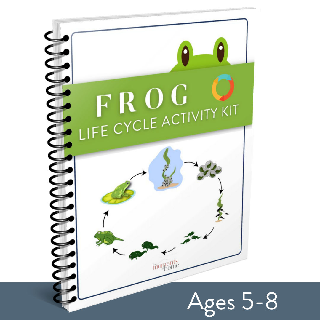 Frog Life Cycle Activity Kit – The Moments At Home