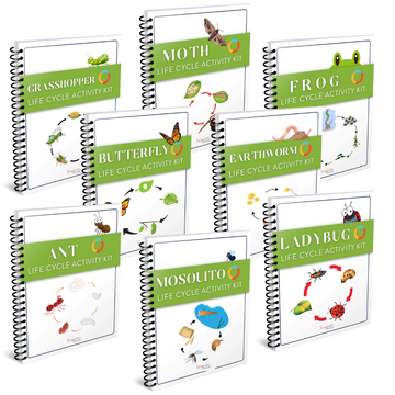 Curriculum & Bundles – The Moments At Home