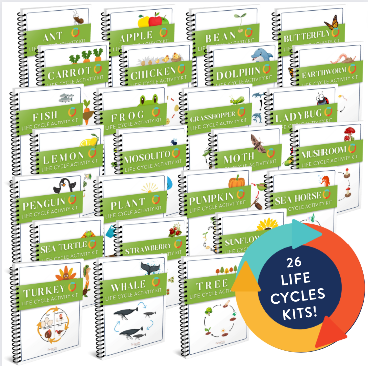 Life Cycles Mega Bundle – The Moments At Home